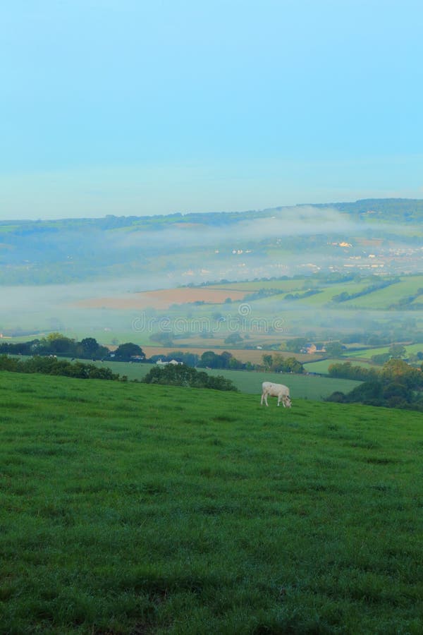 Farmland in Axe Valley, Devon Stock Image - Image of valley, field ...