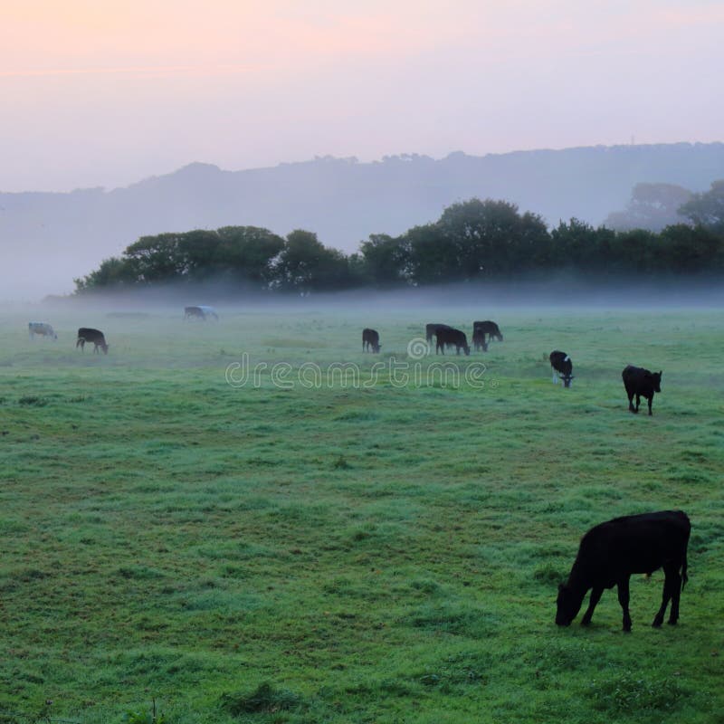 Farmland in Axe Valley, Devon Stock Photo - Image of scenery, scenic ...