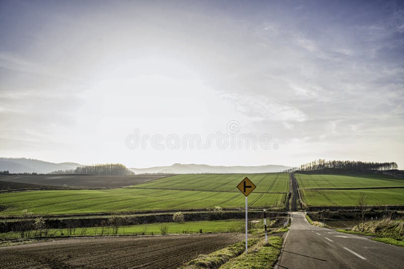 Farmland in Biei, Hokkaido, Japan Stock Image - Image of path, meadow ...