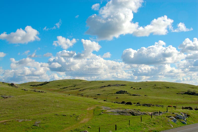 Farmland in California USA stock photo. Image of pasture - 2121056