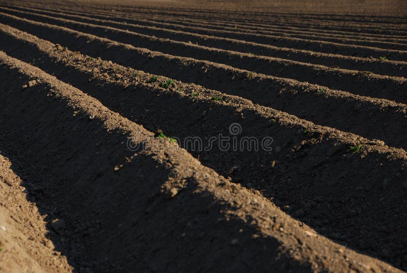 Farmland with a dark earth stock photo. Image of farming - 27256146