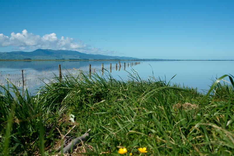 Farmland Edge To Beautiful Lake. Stock Image - Image of edge, landscape ...