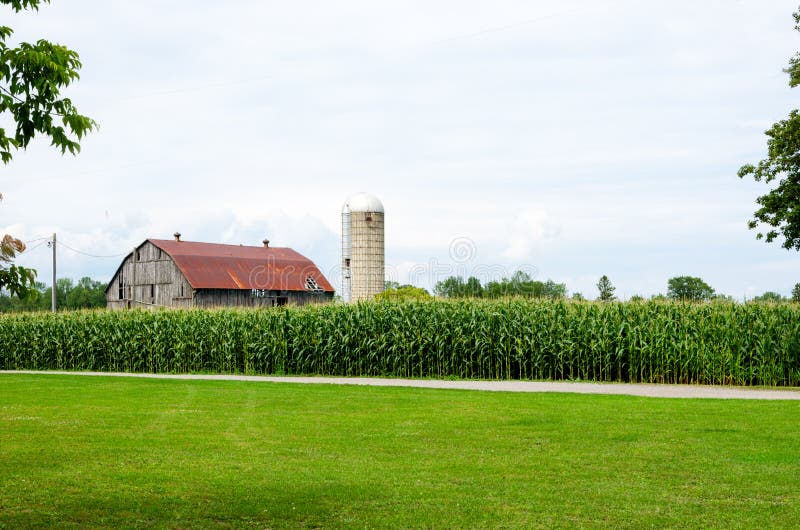 Farmland stock photo. Image of rural, farmers, corn, farming - 32898178