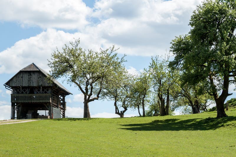 Farmland with Field Barn and Trees Stock Image - Image of landscape ...