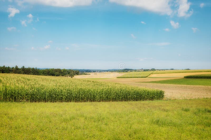 Farmland in Germany stock photo. Image of panoramic - 136936622