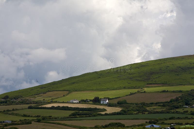 Farmland on the Gower Peninsular. Stock Photo - Image of hillside ...