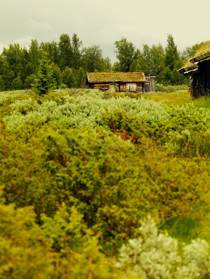 Photo of Farmland Green Scene Stock Photo - Image of natural, field ...