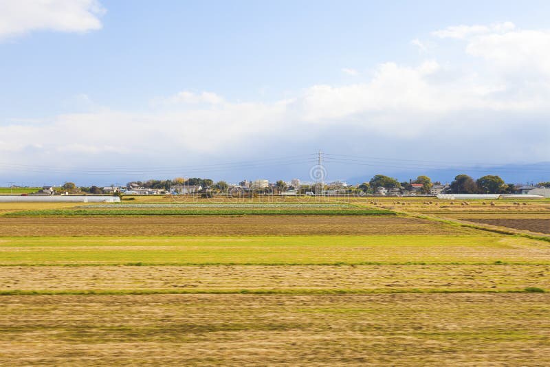 Farmland in Japan stock image. Image of growth, country - 59248613