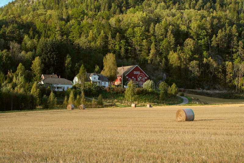 Farmland landscape stock photo. Image of autumn, farm - 14521148