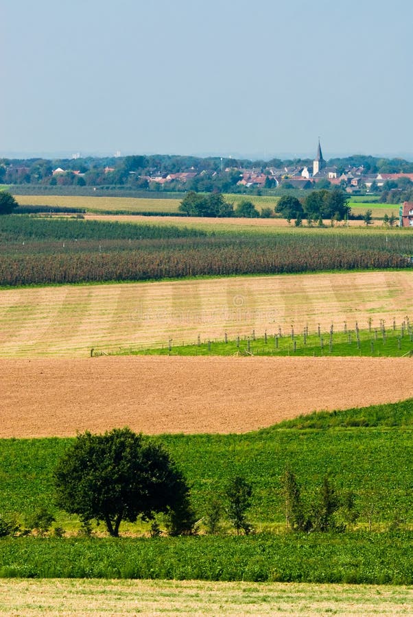 Farmland landscape stock image. Image of grass, plants - 3236861