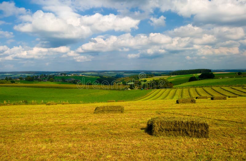 Farmland landscape stock image. Image of grass, plants - 3236861