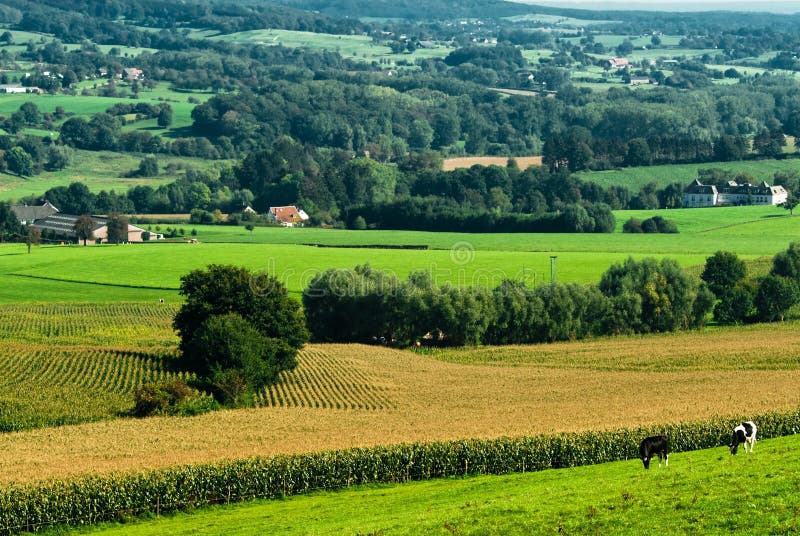 Beautiful Farmland Landscape Stock Photo - Image of forest ...