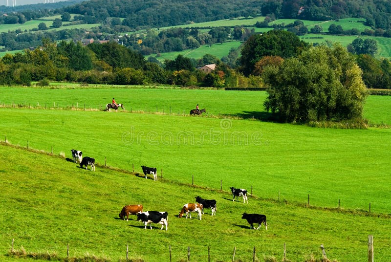 Farmland landscape stock image. Image of people, house - 3303983