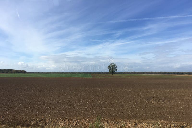 Farmland in Lithuania stock image. Image of energy, ecosystem - 100111831