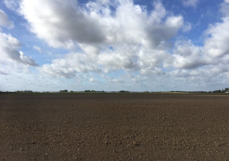 Farmland in Lithuania stock photo. Image of field, horizon - 100111882