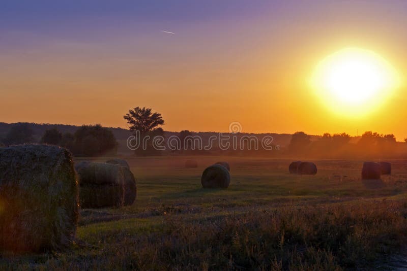 Farmland and the Magnificent Sunset. Stock Image - Image of corn ...