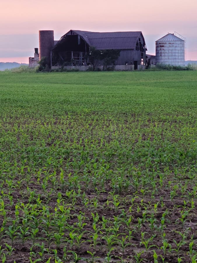 Farmland in Ohio stock image. Image of prairie, soil - 258300487