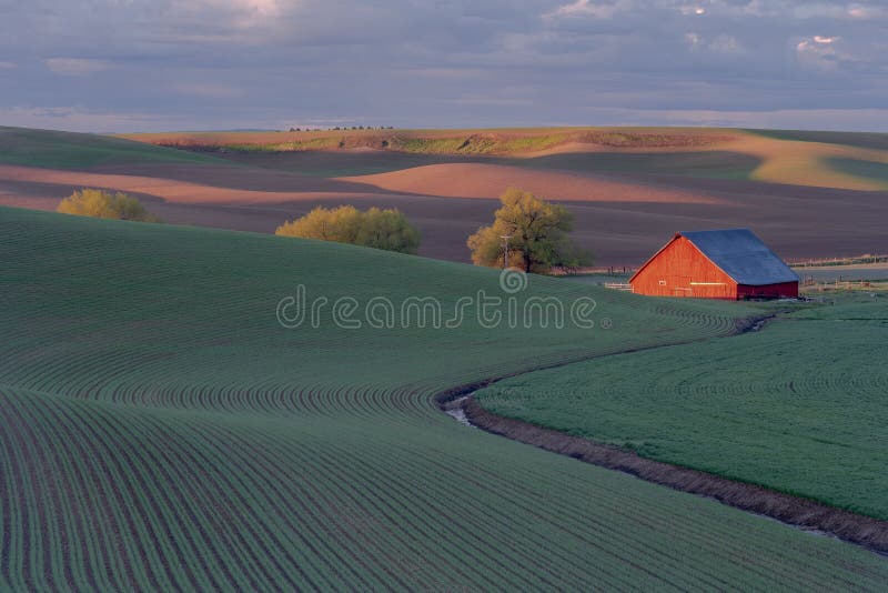 Farmland of the Palouse, Near Pullman, Washington State Stock Photo ...