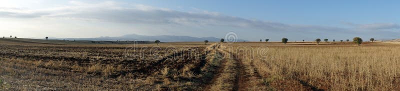 Farmland stock photo. Image of panorama, wide, cloud - 47793738