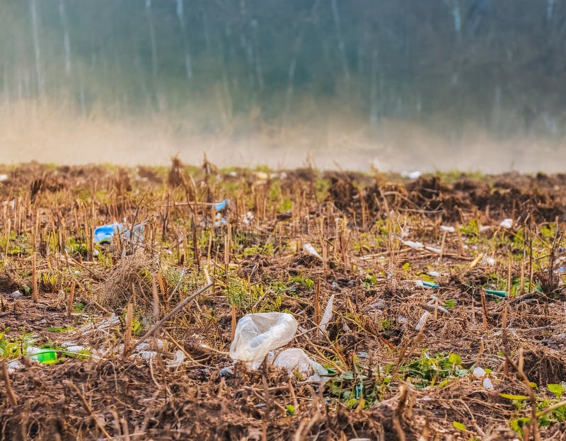 Farmland with Plastic Waste Stock Photo - Image of garbage, problem ...