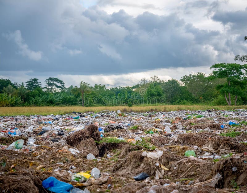 Farmland with Plastic Waste Stock Photo - Image of generated, problem ...