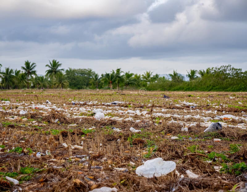 Farmland with Plastic Waste Stock Image - Image of garbage, crisis ...