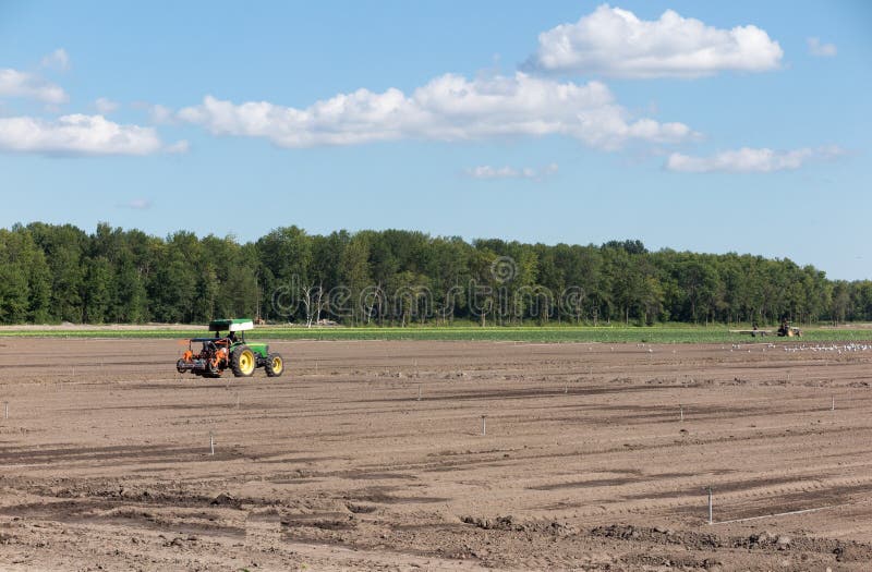 Farmland stock photo. Image of farm, planting, environment - 58005530