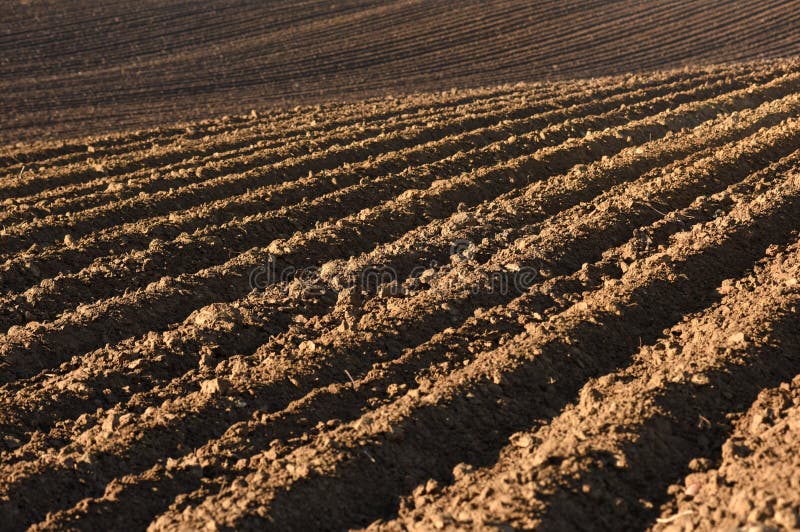 Farmland, Plowed Field at Spring, Landscape, Agricultural, Fields Stock ...