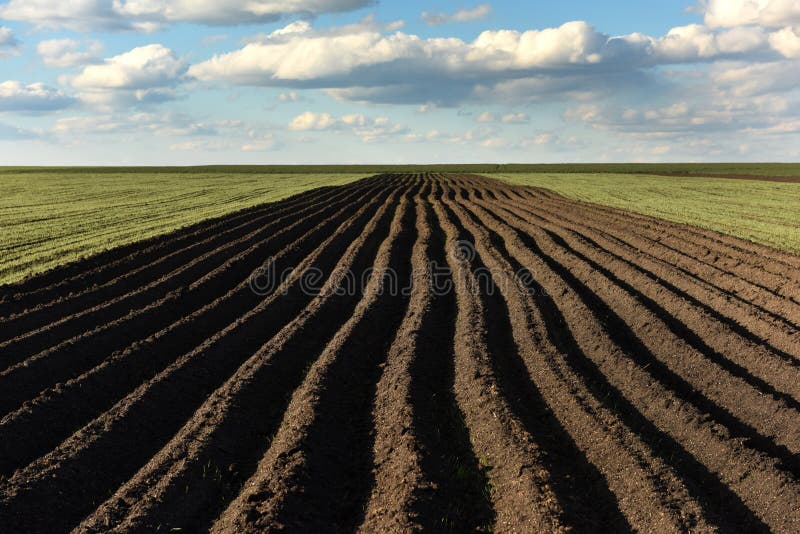 Farmland, Plowed Field at Spring, Landscape, Agricultural, Fields Stock ...
