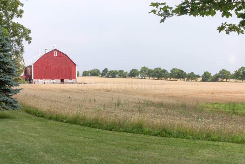 Farmland stock image. Image of country, countryside, wheat - 43849115