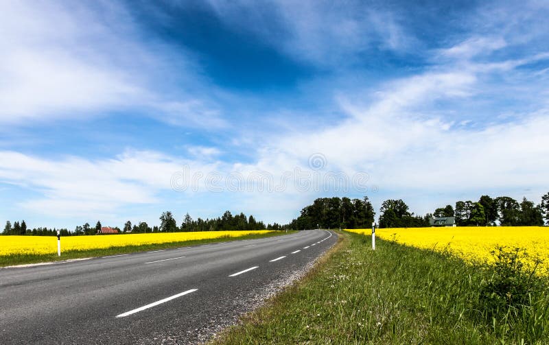 Farmland Road stock photo. Image of bright, farmland - 23857212