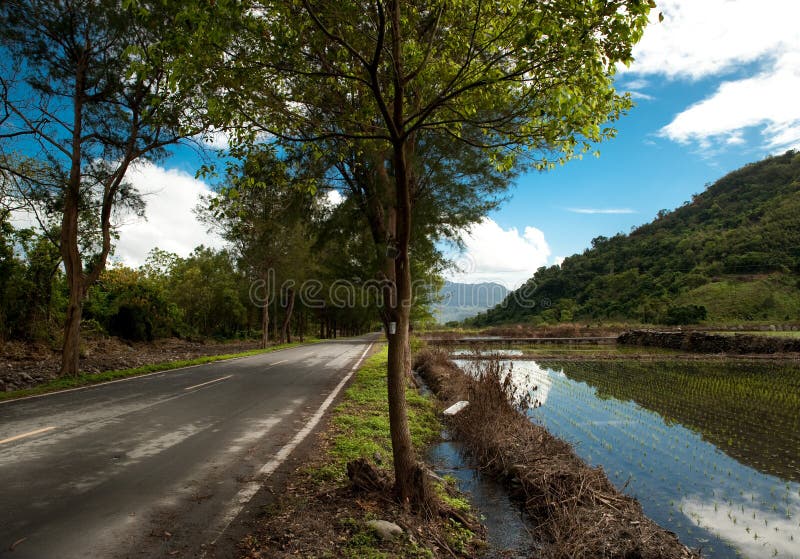 Farmland and road stock image. Image of tree, transportation - 29048869