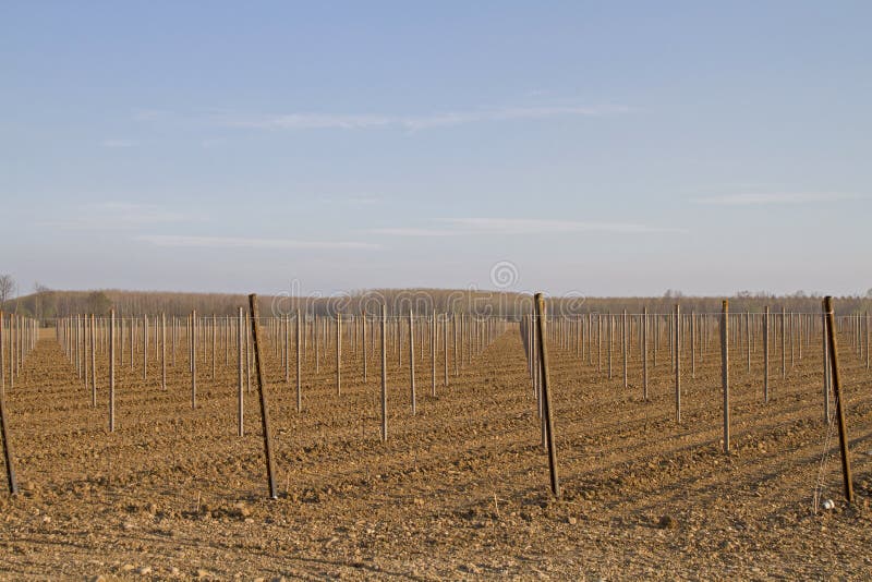 Farmland in spring stock image. Image of bald, italy - 73668001