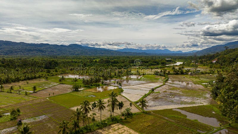 Farmland in Sumatra, Indonesia. Stock Image - Image of town, rainforest ...