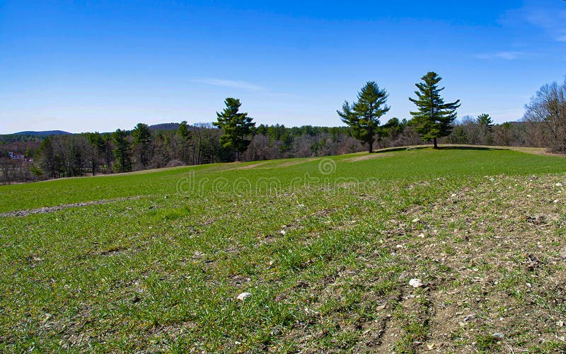 Farmland with Tree Line with Blue Sky Stock Image - Image of atmosphere ...