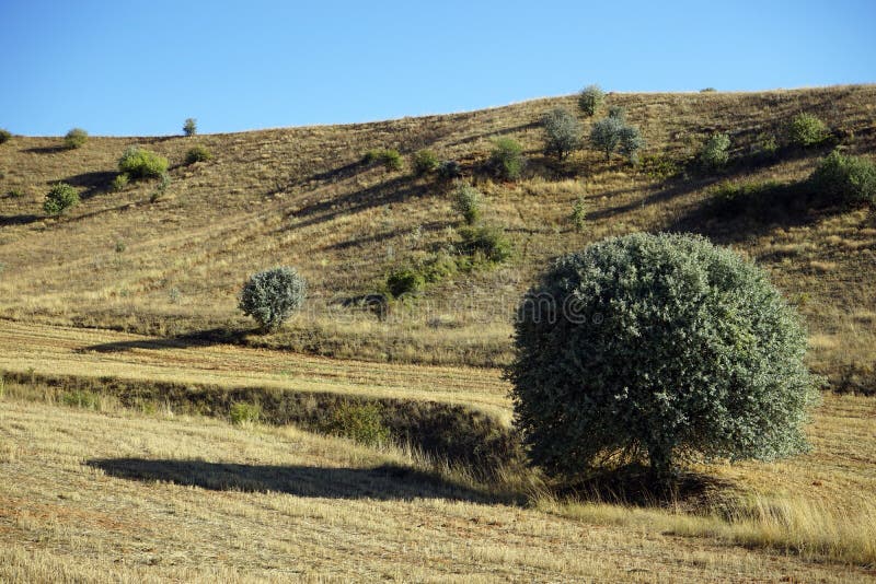 Farmland stock photo. Image of plain, turkey, hill, field - 47793740