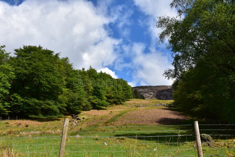 Farmland and Trees Surrounding a Fenced Field Stock Image - Image of ...