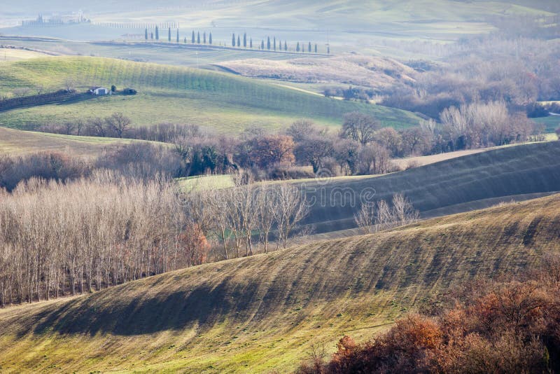 Farmland in Val D Orcia, Tuscany (Italy). Stock Photo - Image of tuscan ...