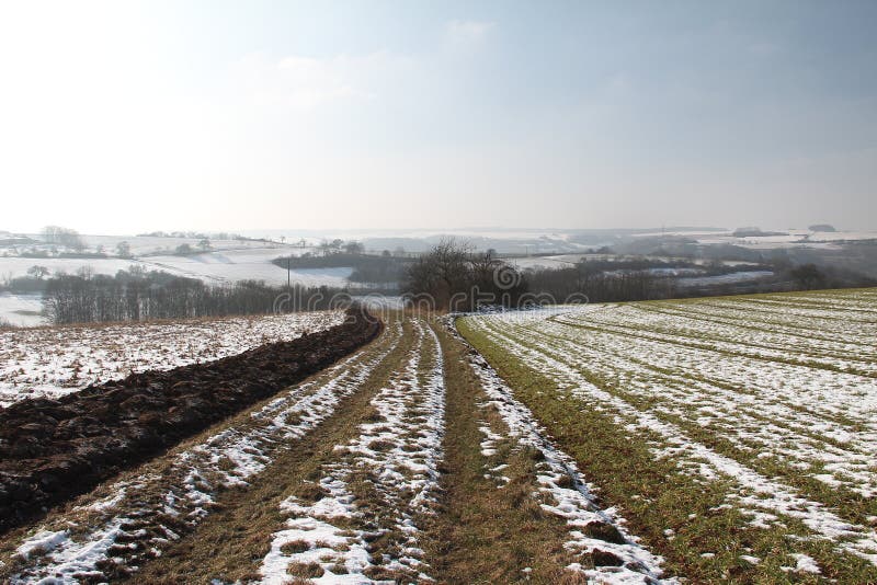 Farmland in Winter Covered with Snow Stock Photo - Image of harvest ...
