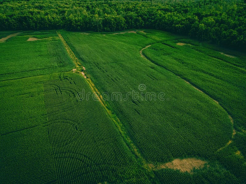 Farm Fields with Forest Border Stock Photo - Image of harvesting ...