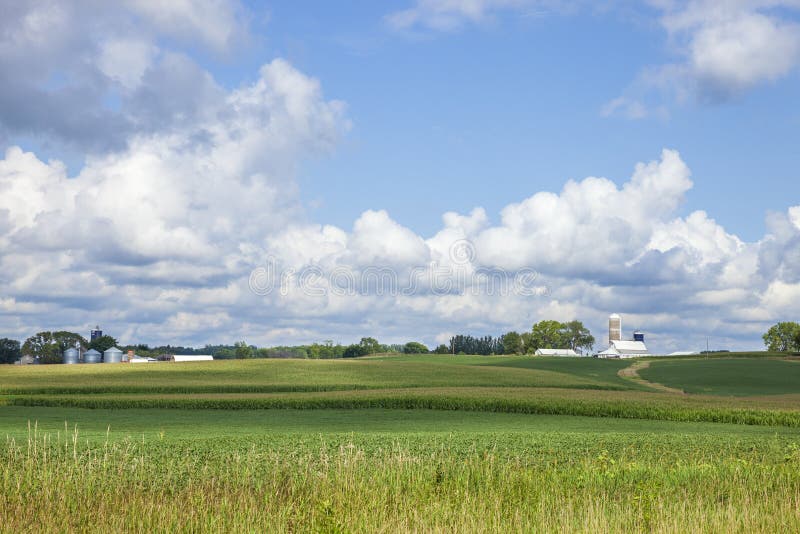 Farms and Fields of Corn and Soybeans on Sunny Day with Clouds during ...