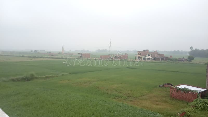 Farms in India stock photo. Image of village, uttar - 168178490