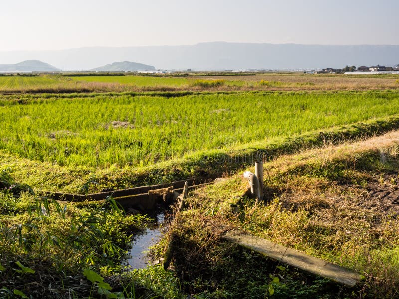 Farms and Rice Fields Inside Aso Volcanic Caldera Stock Photo - Image ...