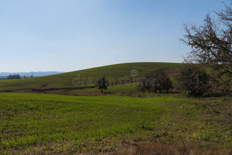 Farms in Southern South America 04 Stock Image - Image of meadow ...