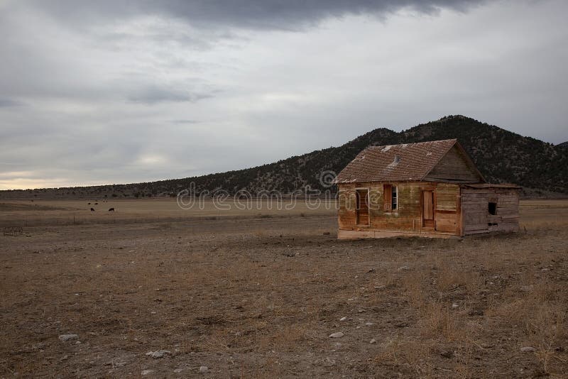 Farmstead stock image. Image of cattle, homestead, mountain - 12337047