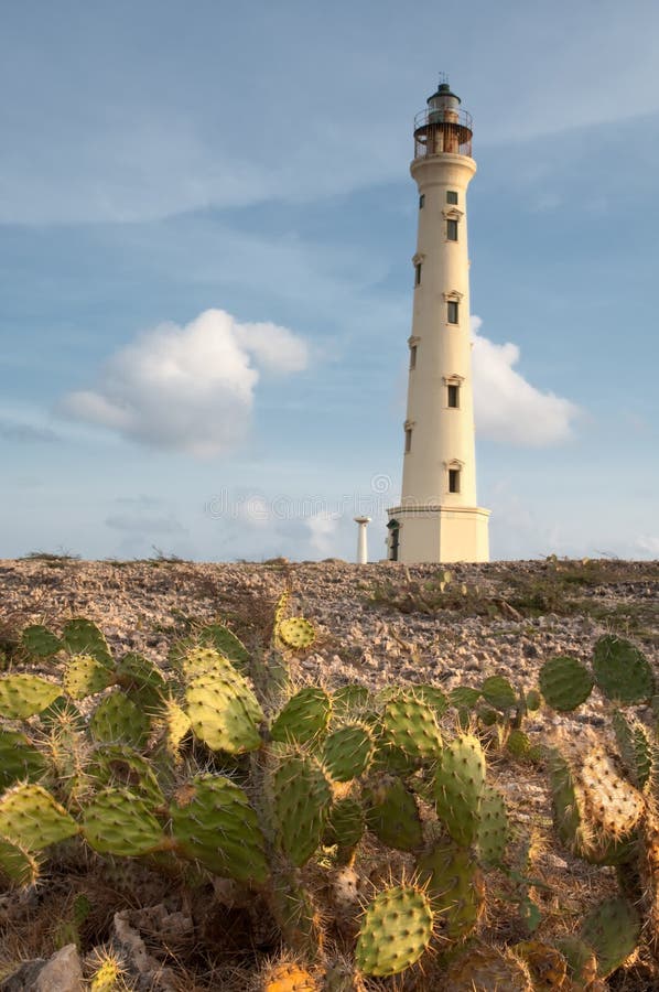 Antena Del Faro De California En La Isla De Aruba En El Caribe Foto de ...