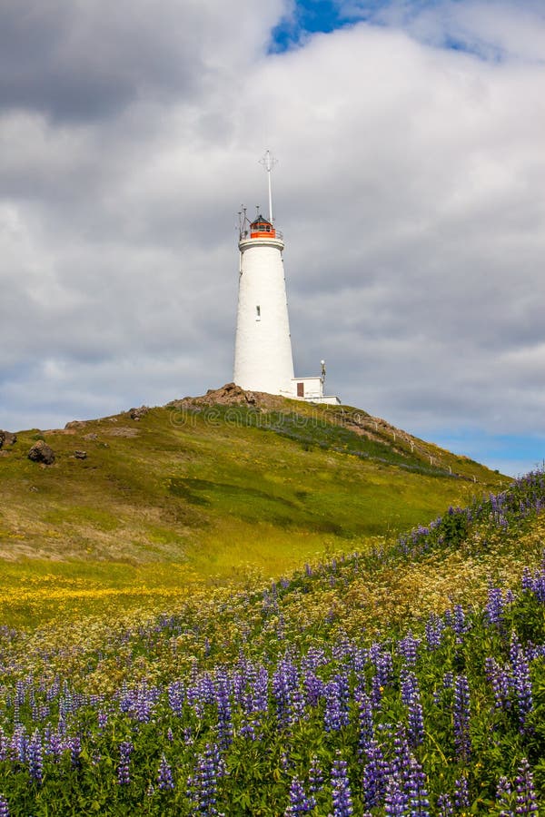 Faro di Reykjanes, Islanda immagine stock. Immagine di verde - 32030365