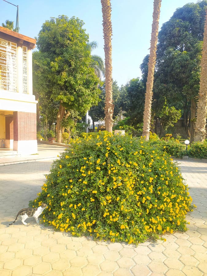 Farouk Corner Museum in Helwan in Cairo Stock Image - Image of clear ...