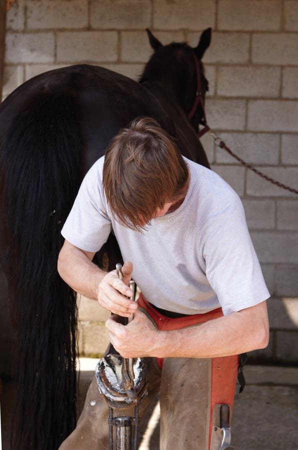 Farrier Stock Illustrations – 1,513 Farrier Stock Illustrations ...
