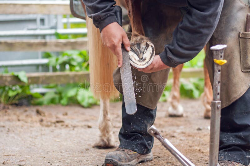 Farrier stock image. Image of tool, forge, dirty, horseshoeing - 32905377